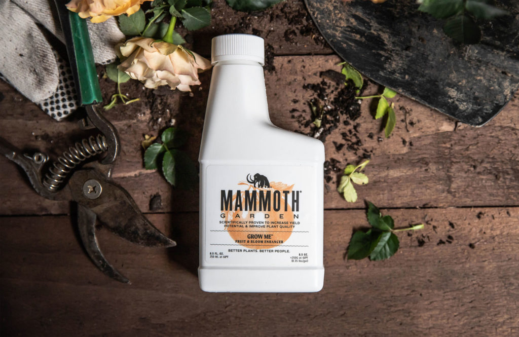 Mammoth Garden Branding & Packaging Design | PUSH IQ - Packaging